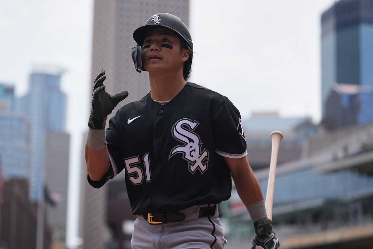 White Sox avoid a sweep by beating the Twins 8-0 behind Erick Fedde’s ...
