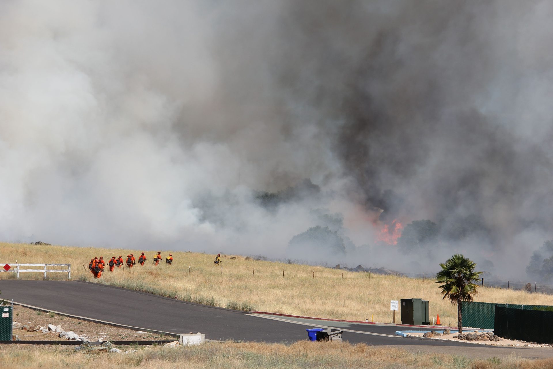 Reed Fire Evacuations Lifted - myMotherLode.com
