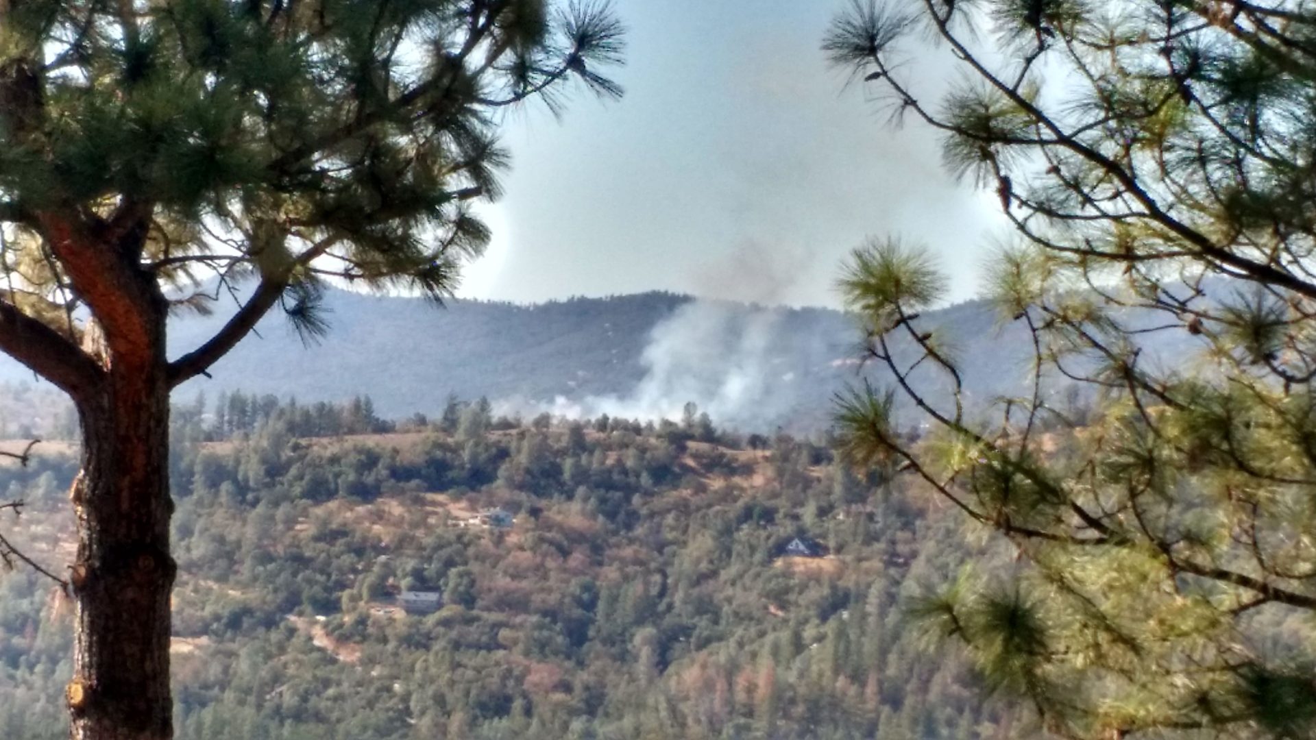 Update: Vegetation Fire Near HWY 108 Contained - myMotherLode.com