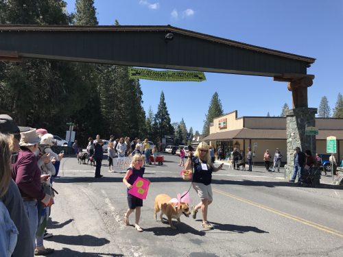 End of April Parades, Plays and More Mother Lode Events - myMotherLode.com