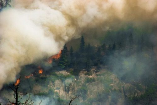 Update: Donnell Fire Continues To Grow In Stanislaus National Forest ...