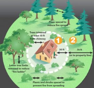 Is Your Landscaping “Fire Safe”? - myMotherLode.com