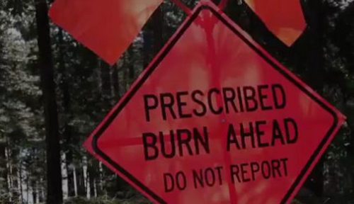 Stanislaus National Forest Details Prescribed Burn Projects ...