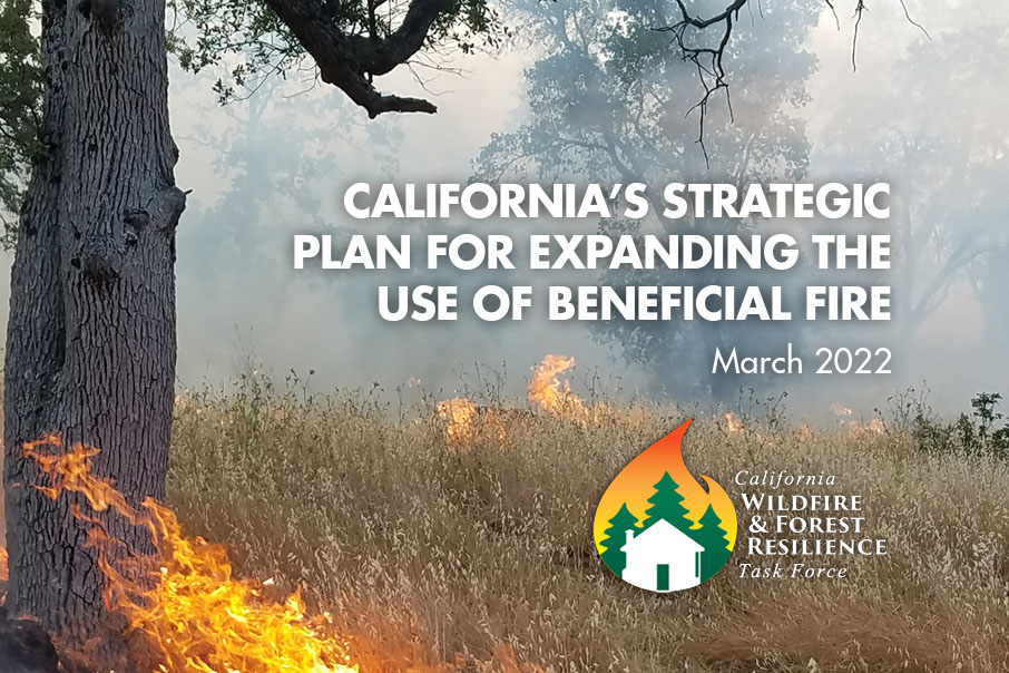 Governor’s Task Force Launches Strategic Wildfire Plan - myMotherLode.com