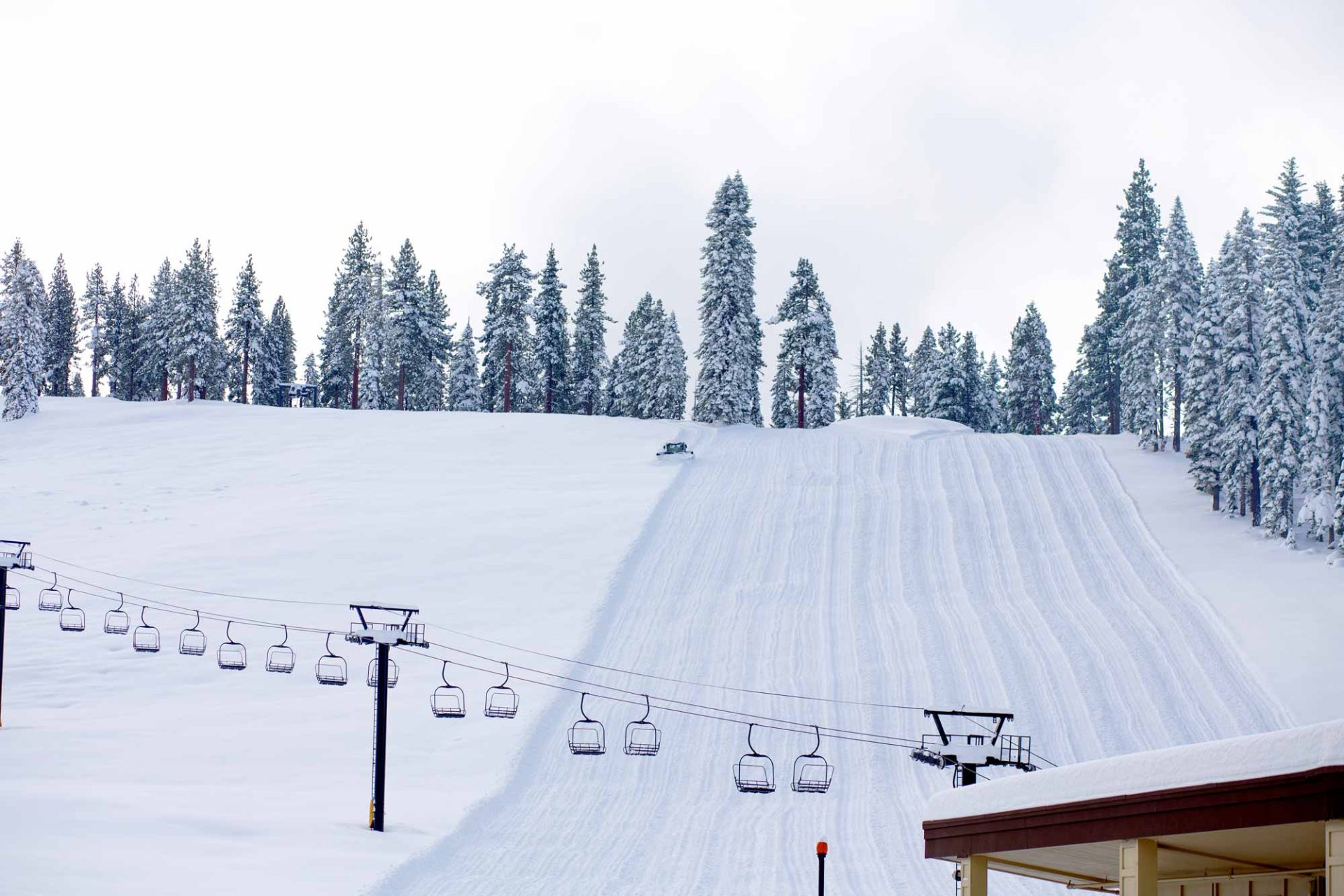 Nearly Five Feet Of Snow Allows For Early Dodge Ridge Season Opening ...