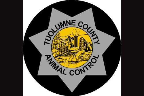 Dog That Mauled Jamestown Man Caught - myMotherLode.com