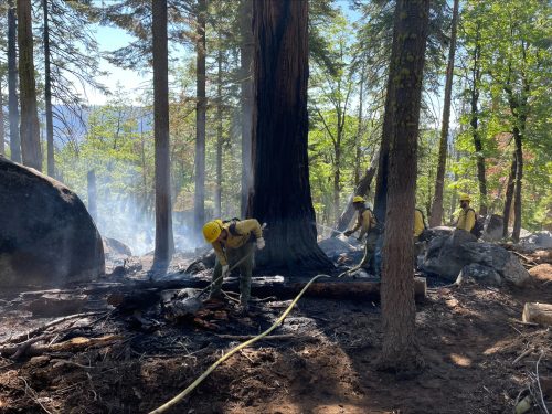 Lightning-Caused Bone Fire Has Burned Over 250 Acres In Forest ...