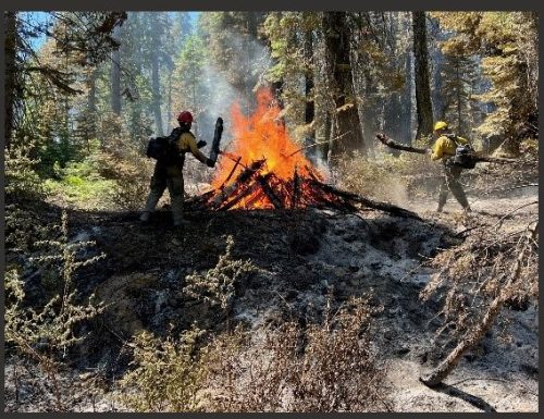 Wrapping Up Bone Fire Response - myMotherLode.com