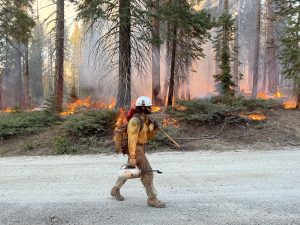 Quarry Fire Acreage Climbs To Over 4,000 - myMotherLode.com