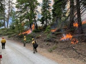 Quarry, And Two Other Fires, Grow In Stanislaus National Forest ...