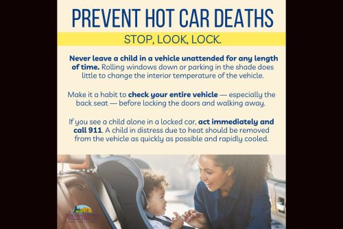 Sizzling Heat Reminders For Kids And Pets - myMotherLode.com