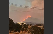 Mother Lode's News - myMotherLode.com