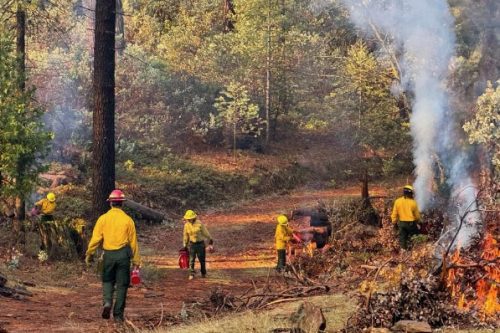 Getting Help Preparing for Forest Fire Season And Safe Summer Fun ...