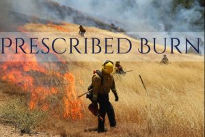 Weekend Prescribed Burn At Pine Mountain Lake - myMotherLode.com