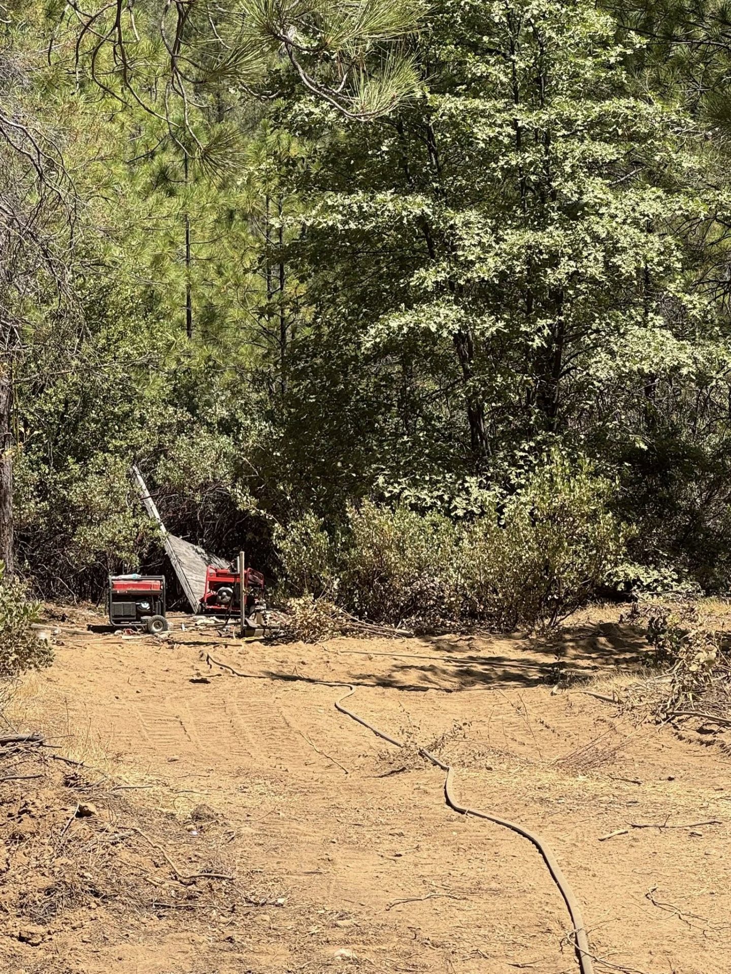 Two Illegal Grows Bust In Mariposa County - myMotherLode.com