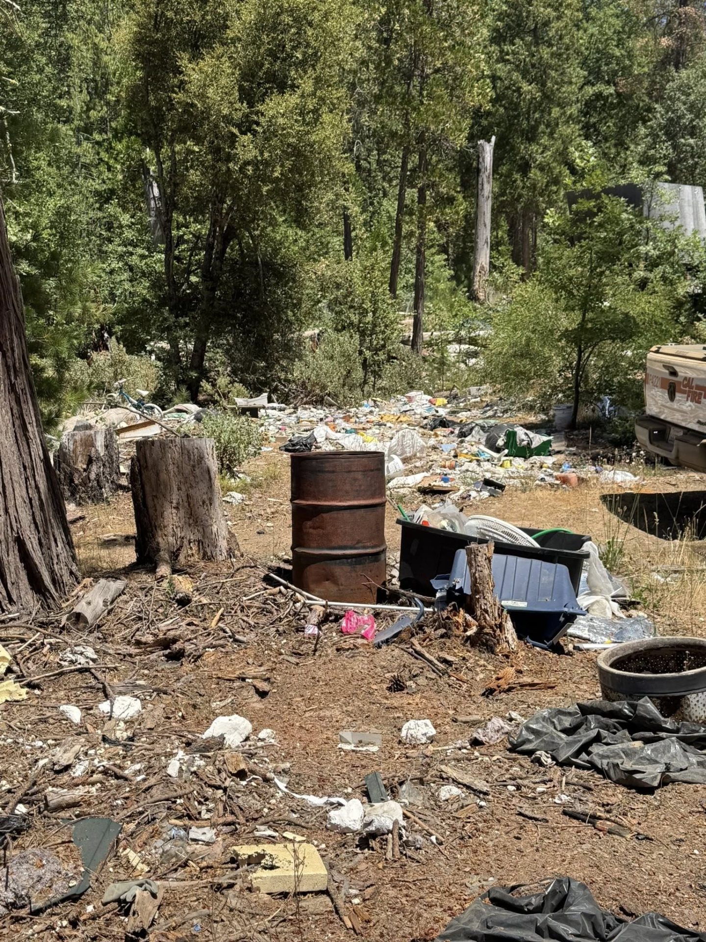 Two Illegal Grows Bust In Mariposa County - myMotherLode.com
