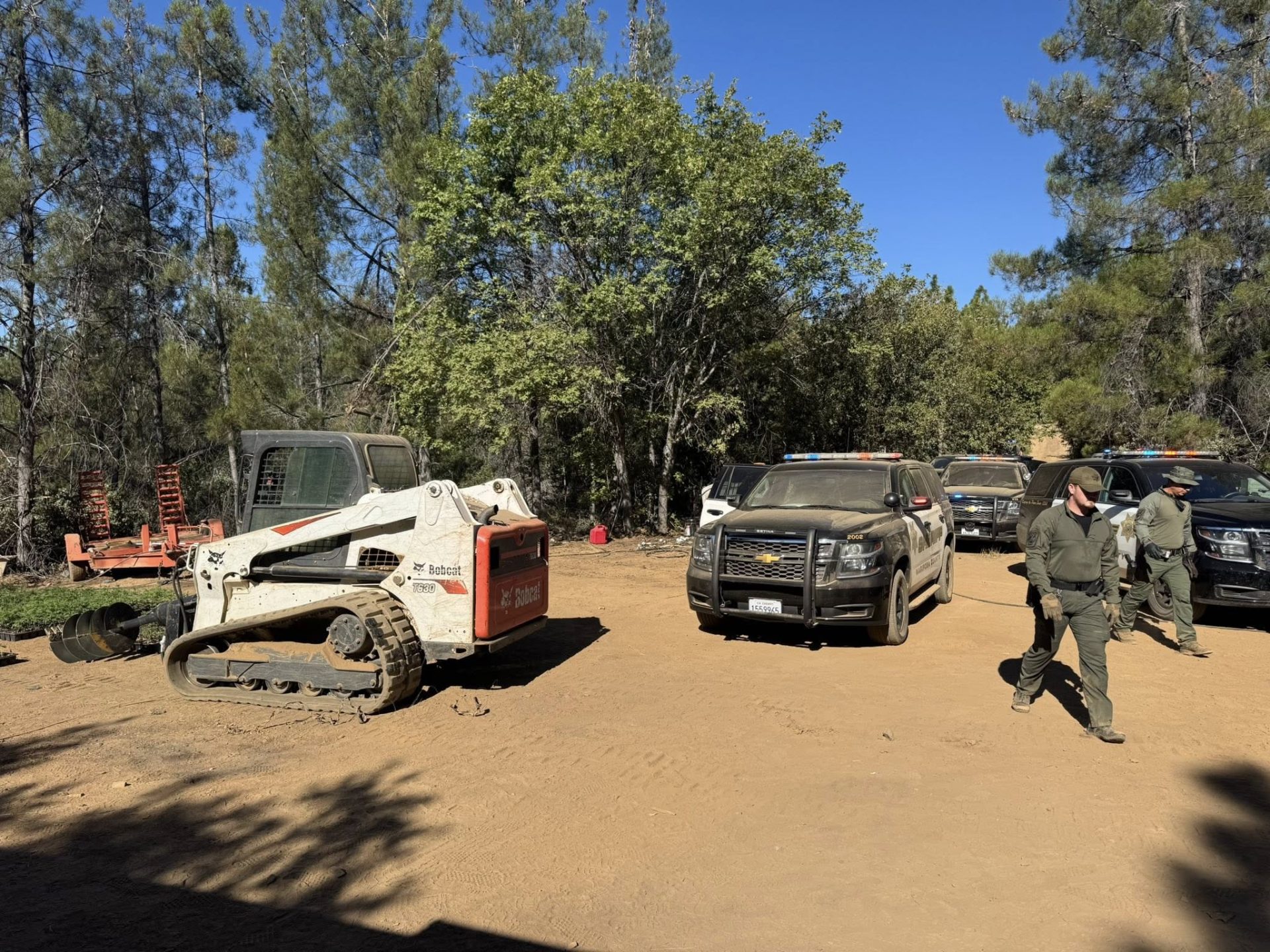 Two Illegal Grows Bust In Mariposa County - myMotherLode.com