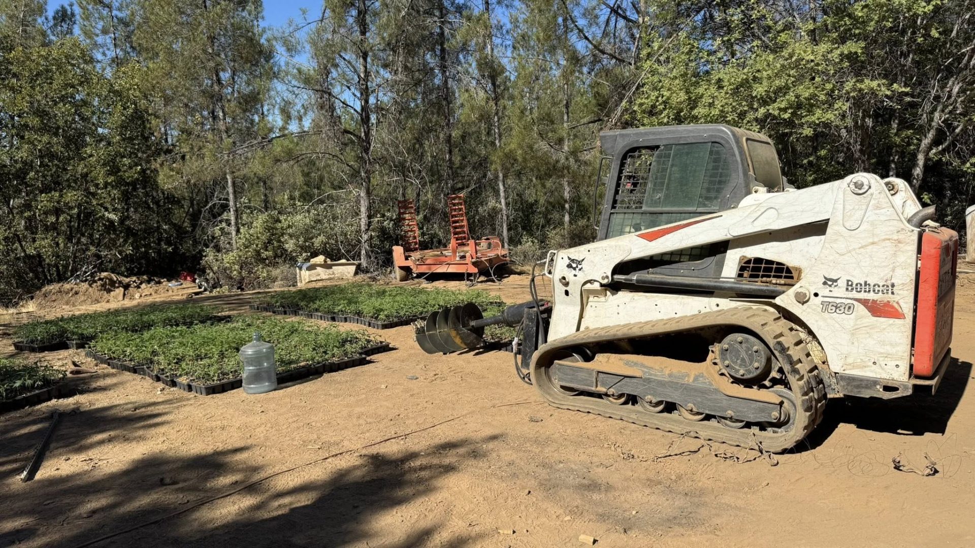 Two Illegal Grows Bust In Mariposa County - myMotherLode.com