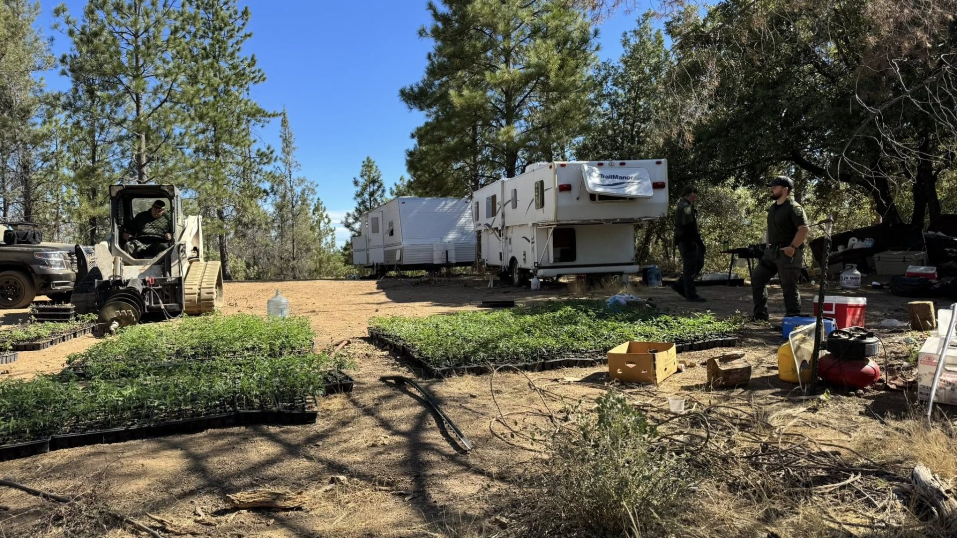 Two Illegal Grows Bust In Mariposa County - myMotherLode.com