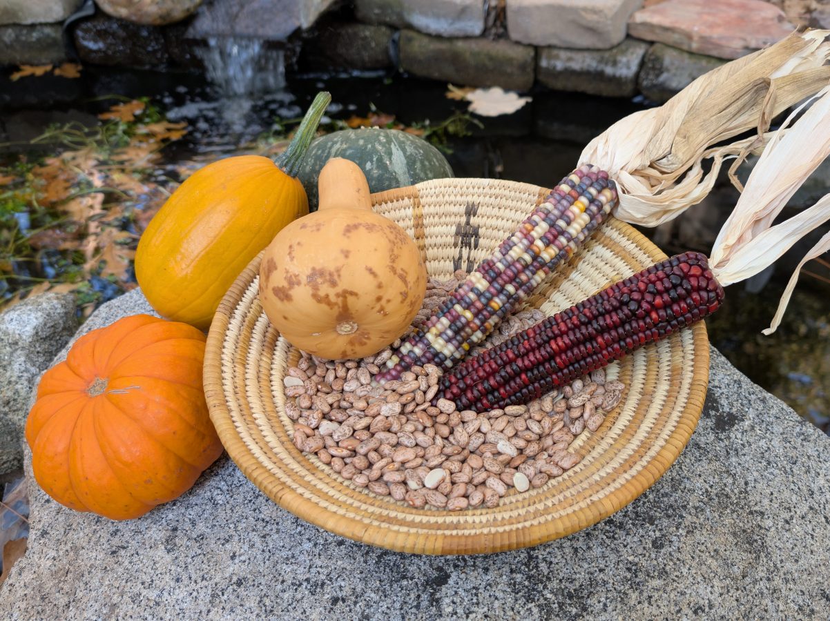 Giving Thanks for Native American Wisdom - myMotherLode.com
